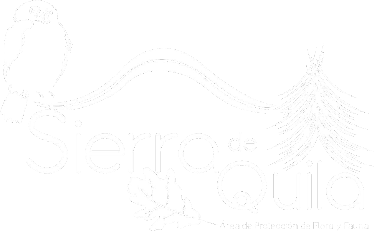 Sierra de Quila